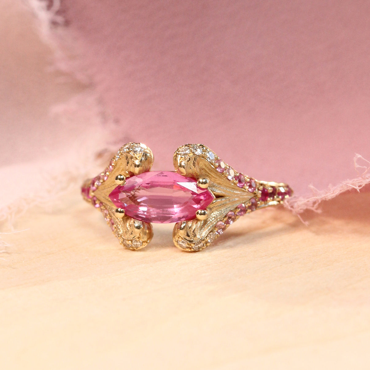 Magenta – Le Conte