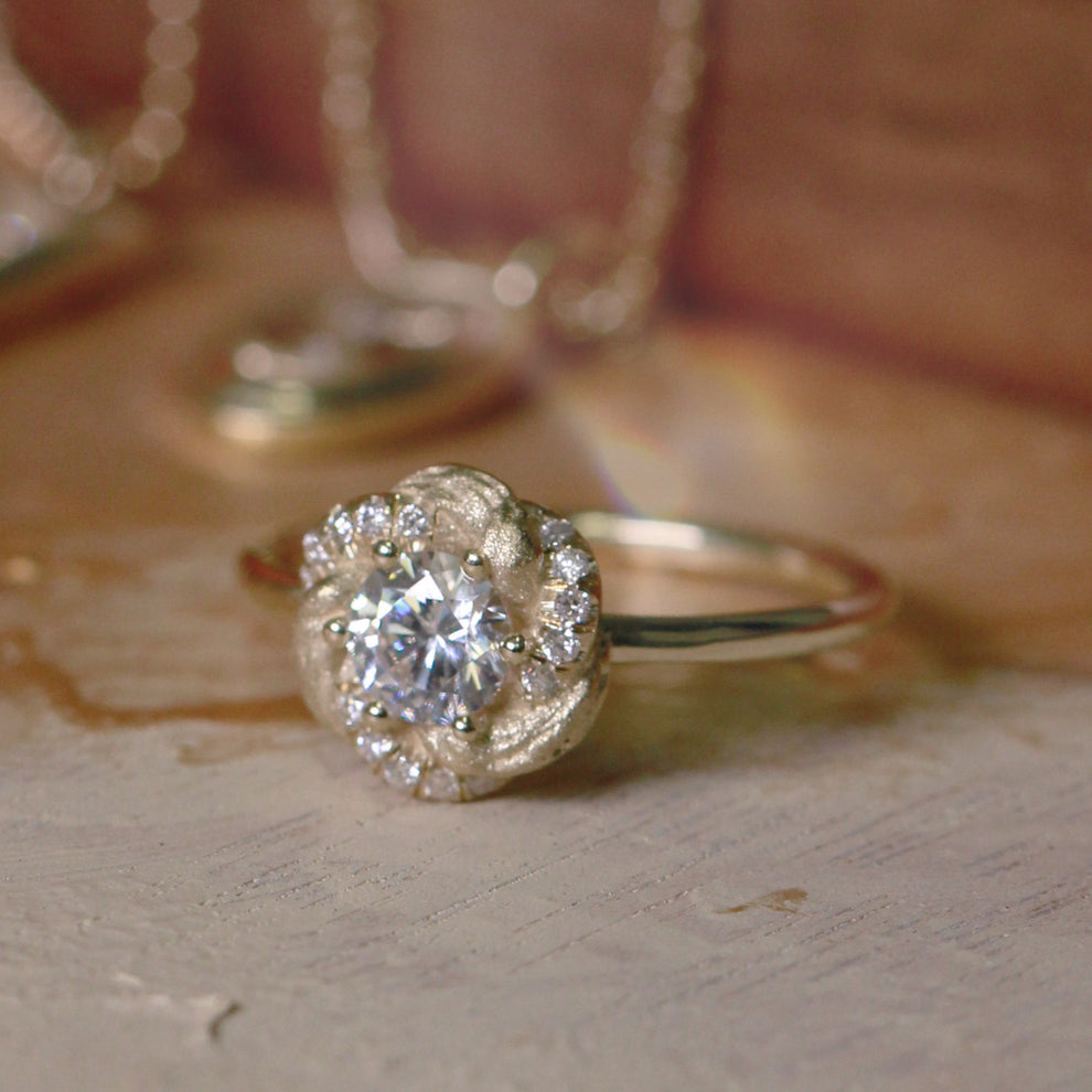 Monet's Garden – Le Conte