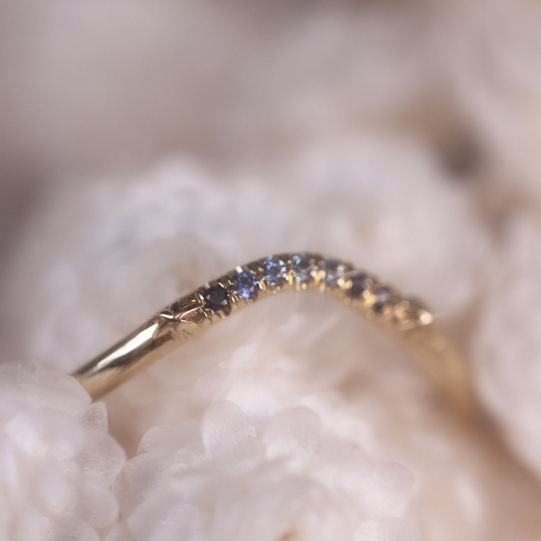 Contour – Le Conte