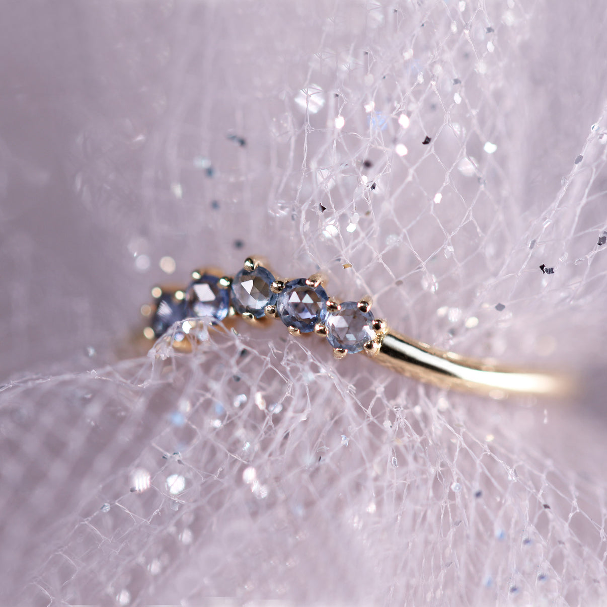 Blue Poppy – Le Conte