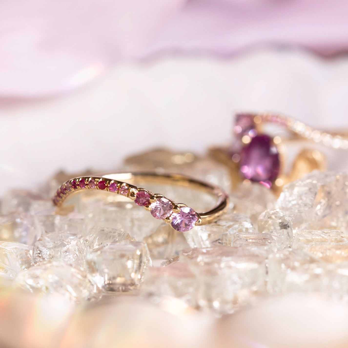 Red Poppy – Le Conte