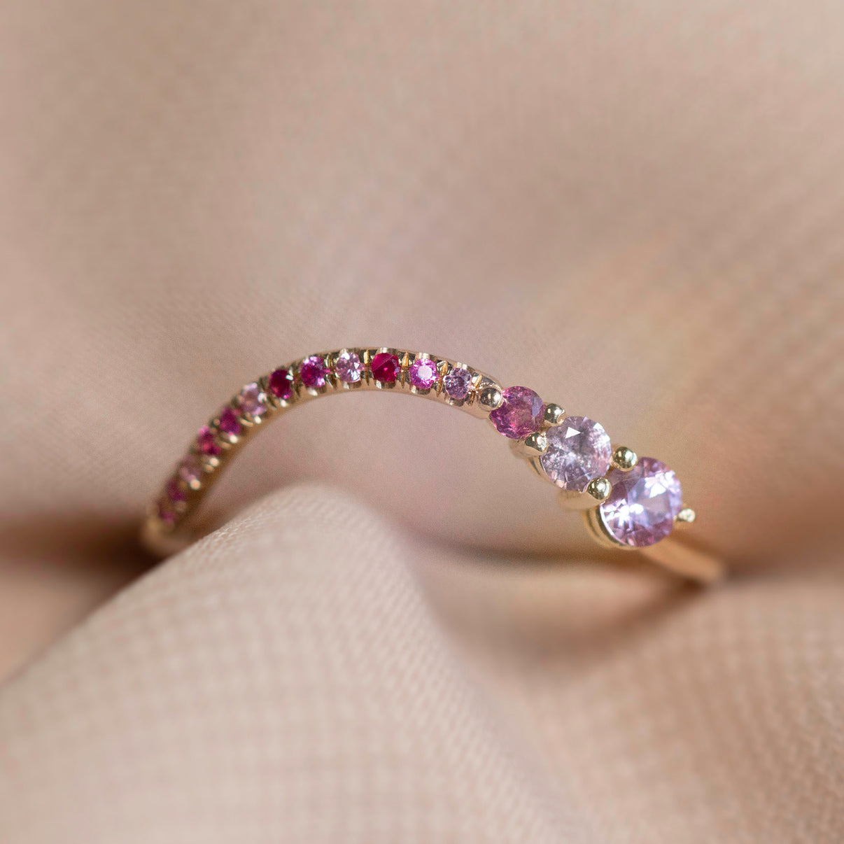 Red Poppy – Le Conte