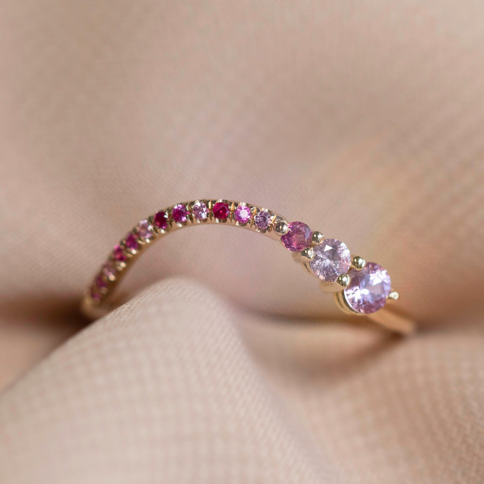 Red Poppy – Le Conte